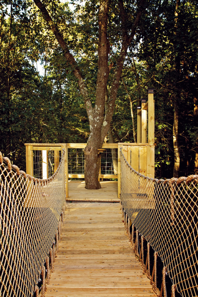 The Vacation of a Lifetime Awaits at Branson Treehouse Adventures ...
