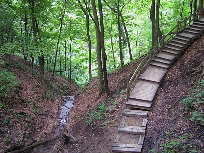 This Waterfall Staircase Hike May Be The Most Unique In All Of Iowa ...