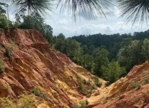 Mississippi’s Amazing Locations - Mainstream Adventures