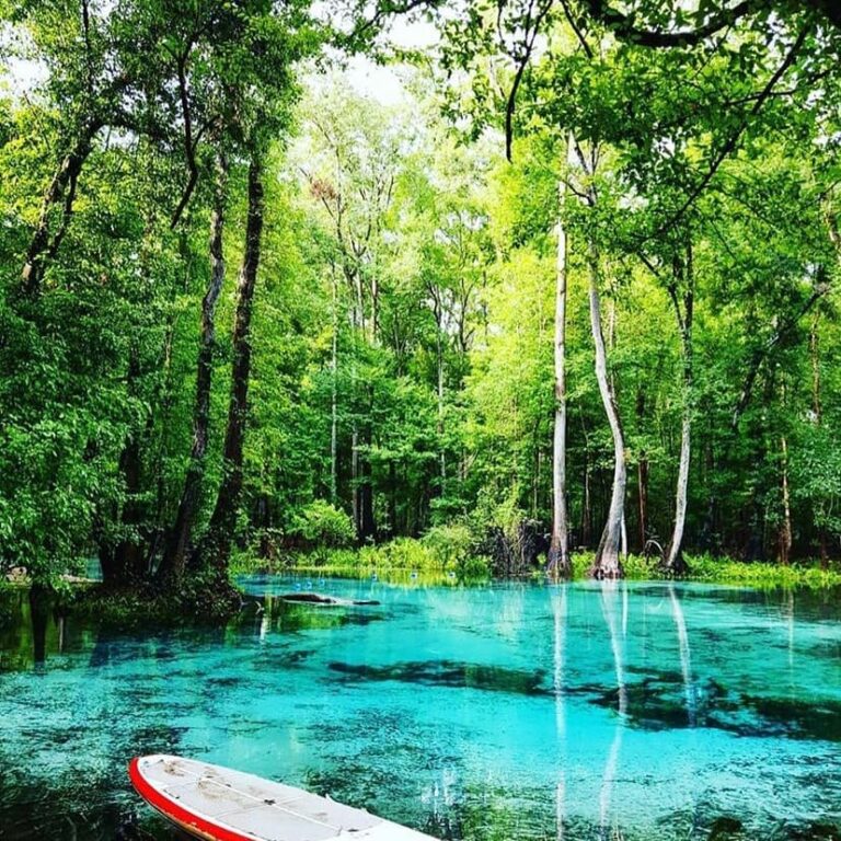 This Brand New State Park Has Six Natural Springs And Is Devastatingly ...