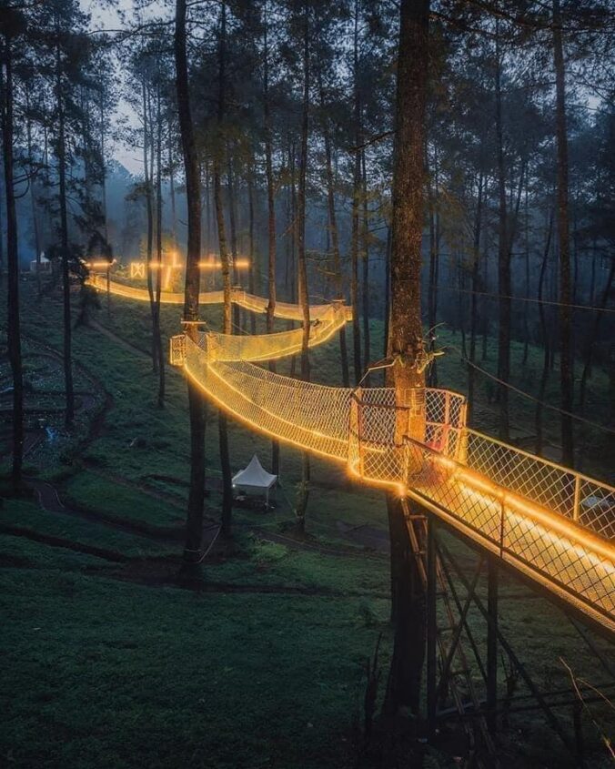 Walk Among The Trees At This One Of A Kind Tree-Top Sky-Walk ...