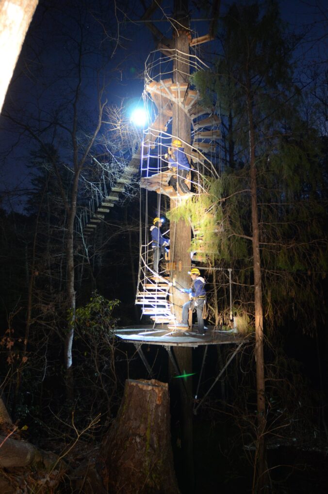 This Incredible Zipline And Canopy Tour Is One Of The Best In The ...
