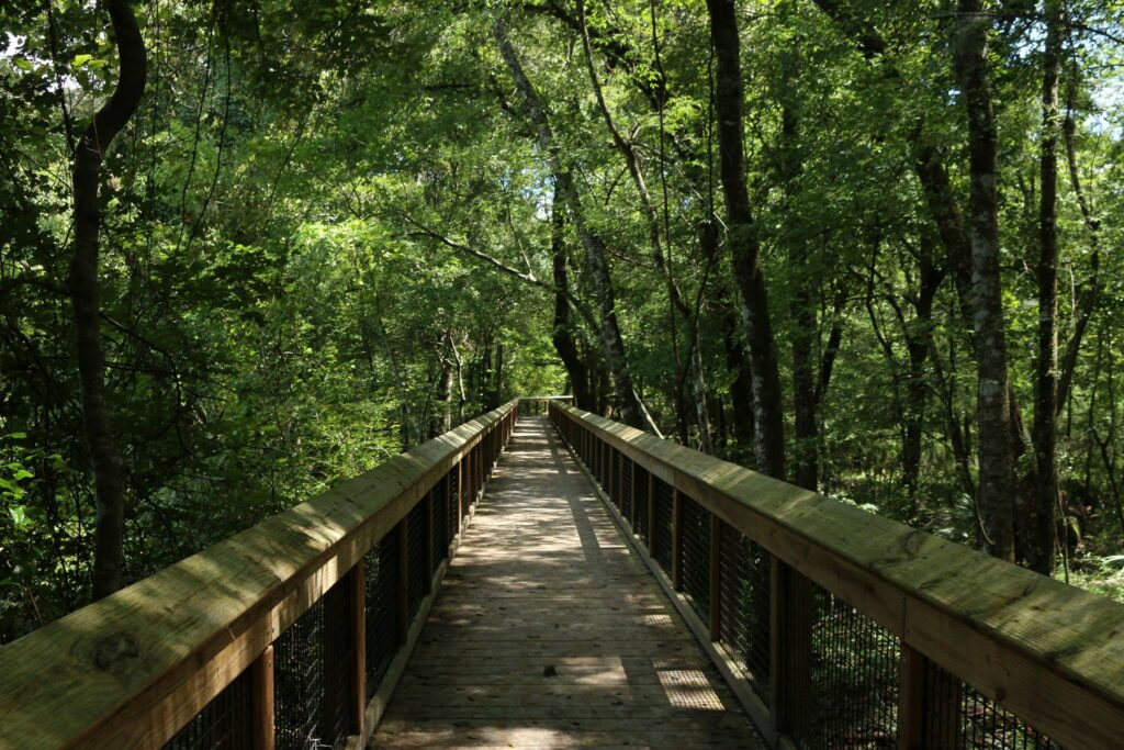 This Gorgeous Spring With An 800 Foot Boardwalk, And An Abundance Of ...