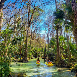 This Kayak Adventure Takes You Past Some Of The Most Beautiful Scenery ...