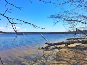 Newaygo State Park Is A Hidden Gem In Michigan's Unbelievable Park ...