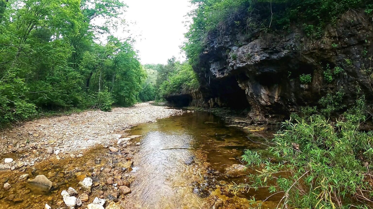 Clifty Creek Conservation Area and Clifty Creek Natural Area: A Haven ...
