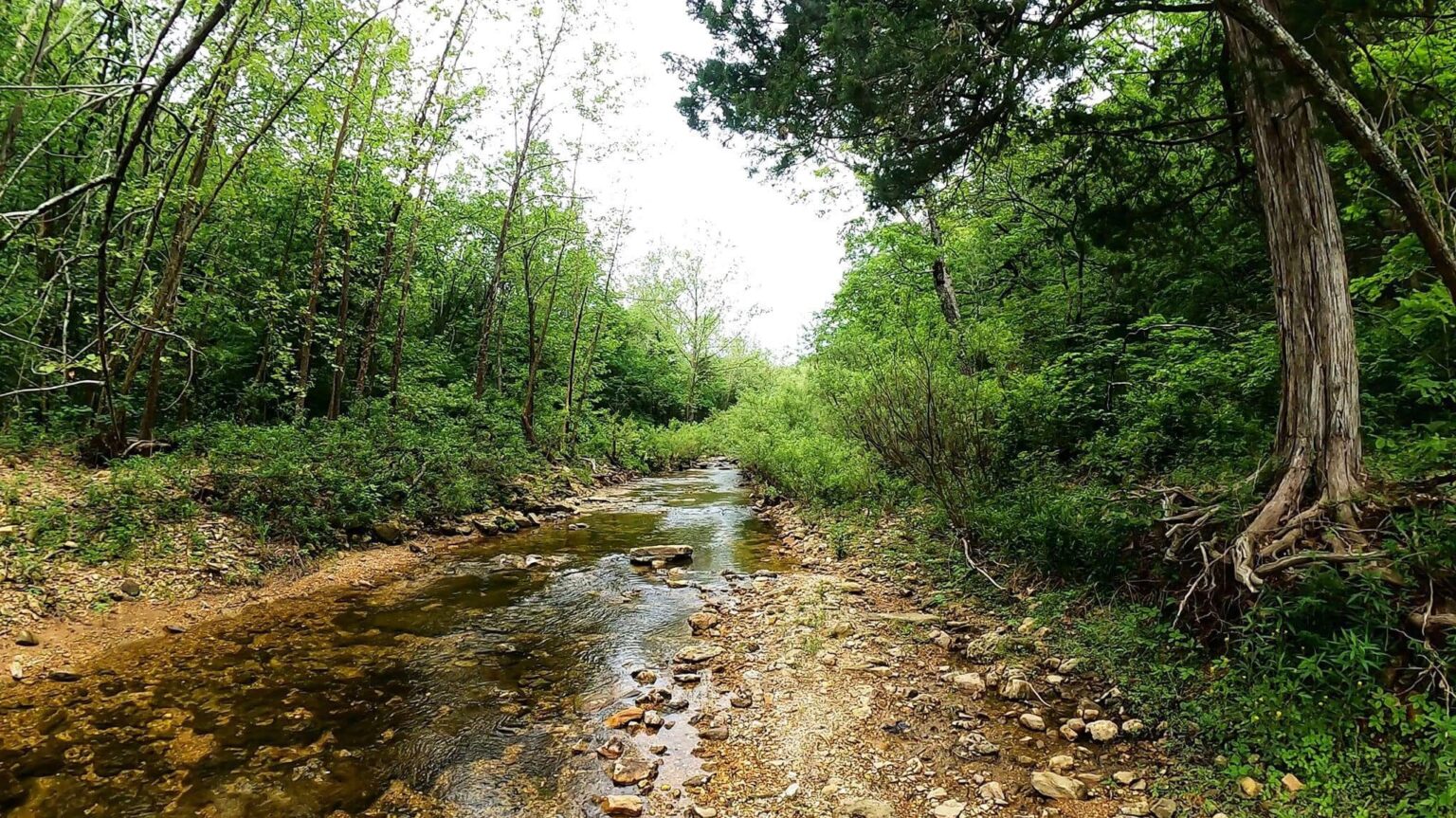 Clifty Creek Conservation Area and Clifty Creek Natural Area: A Haven ...