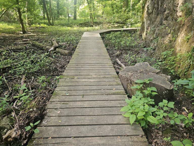 "Uncover the Hidden Treasures of Meramec State Park: A Gem in the Ozark ...