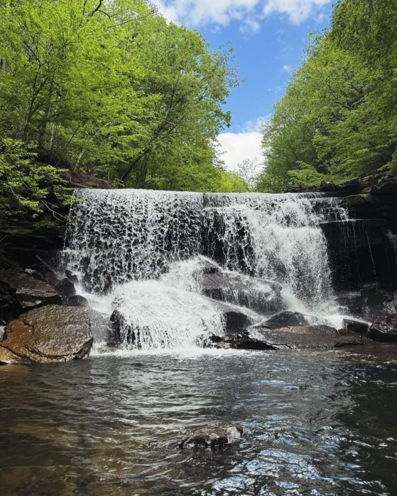 "Explore the Natural Beauty of Savage Gulf State Park, In Tennessee ...