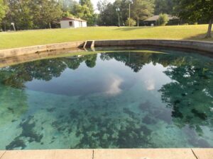 Dive into Refreshing Fun at Blue Springs State Park, In Beautiful ...