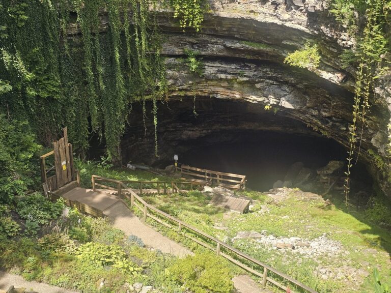 Hidden River Cave: An Environmental Success Story in the Heart of ...